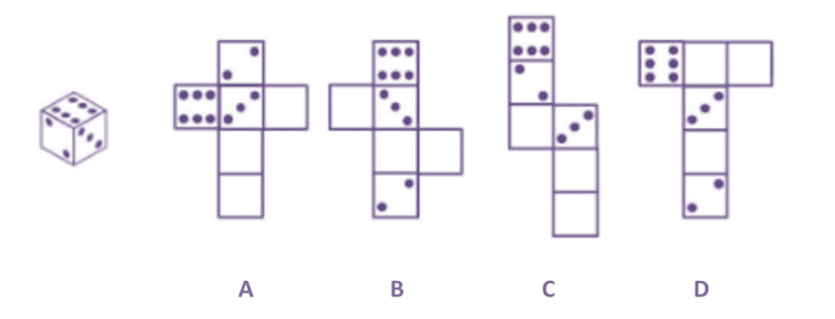 Free Wonderlic SLE Practice: Sample Test, Tips, and More!